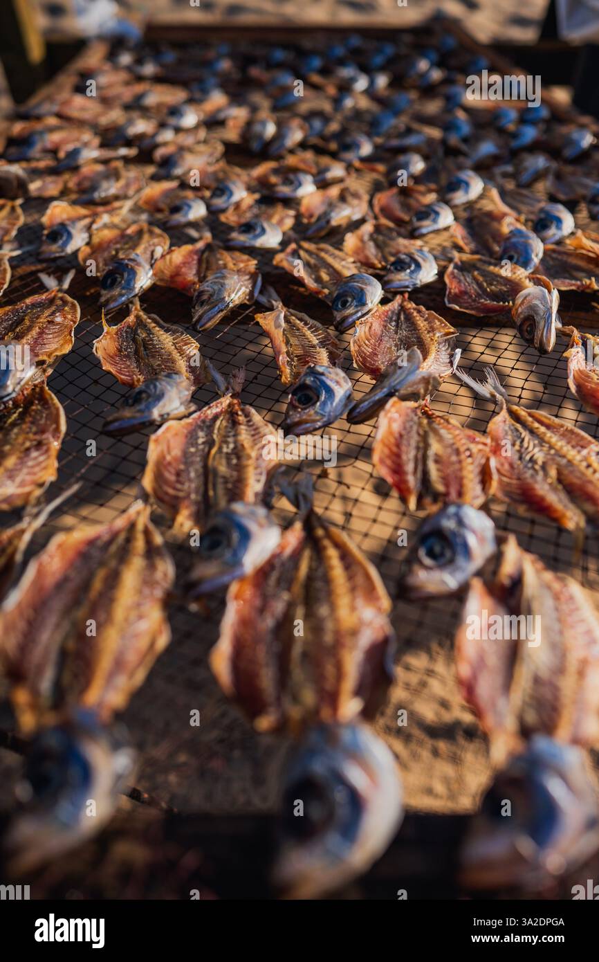 Sun-Dried Fish Museum is right on Nazaré’s main beach Stock Photo - Alamy