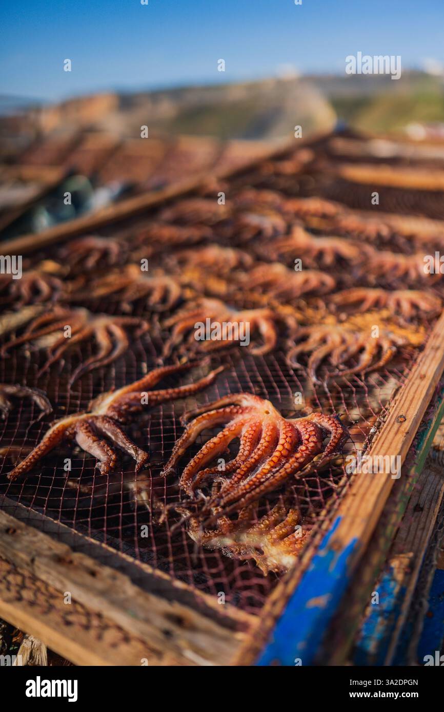 Sun-Dried Fish Museum is right on Nazaré’s main beach Stock Photo - Alamy