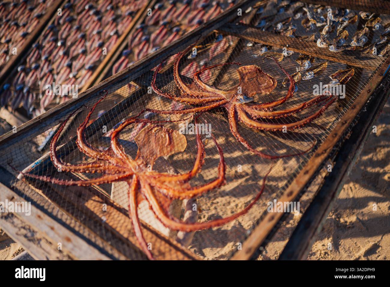 Sun-Dried Fish Museum is right on Nazaré’s main beach Stock Photo - Alamy