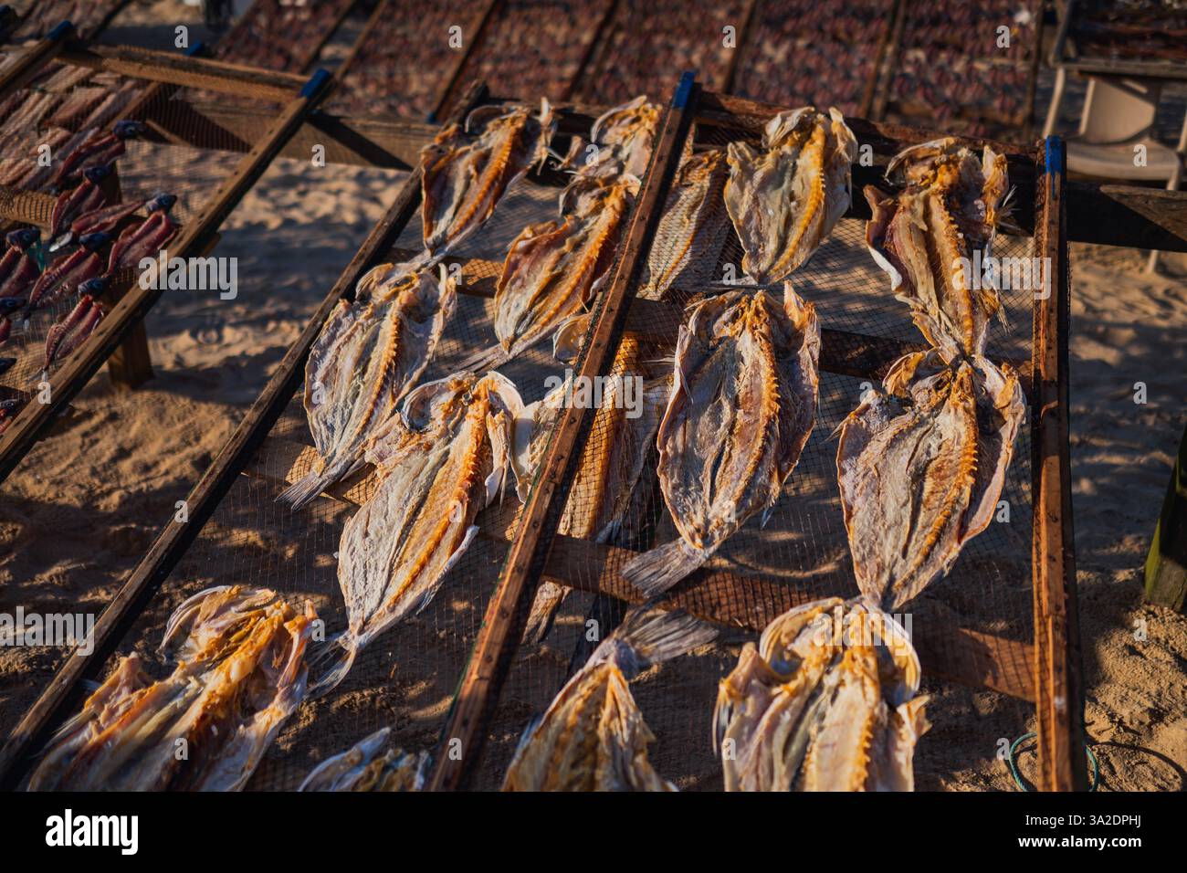 Sun-Dried Fish Museum is right on Nazaré’s main beach Stock Photo - Alamy
