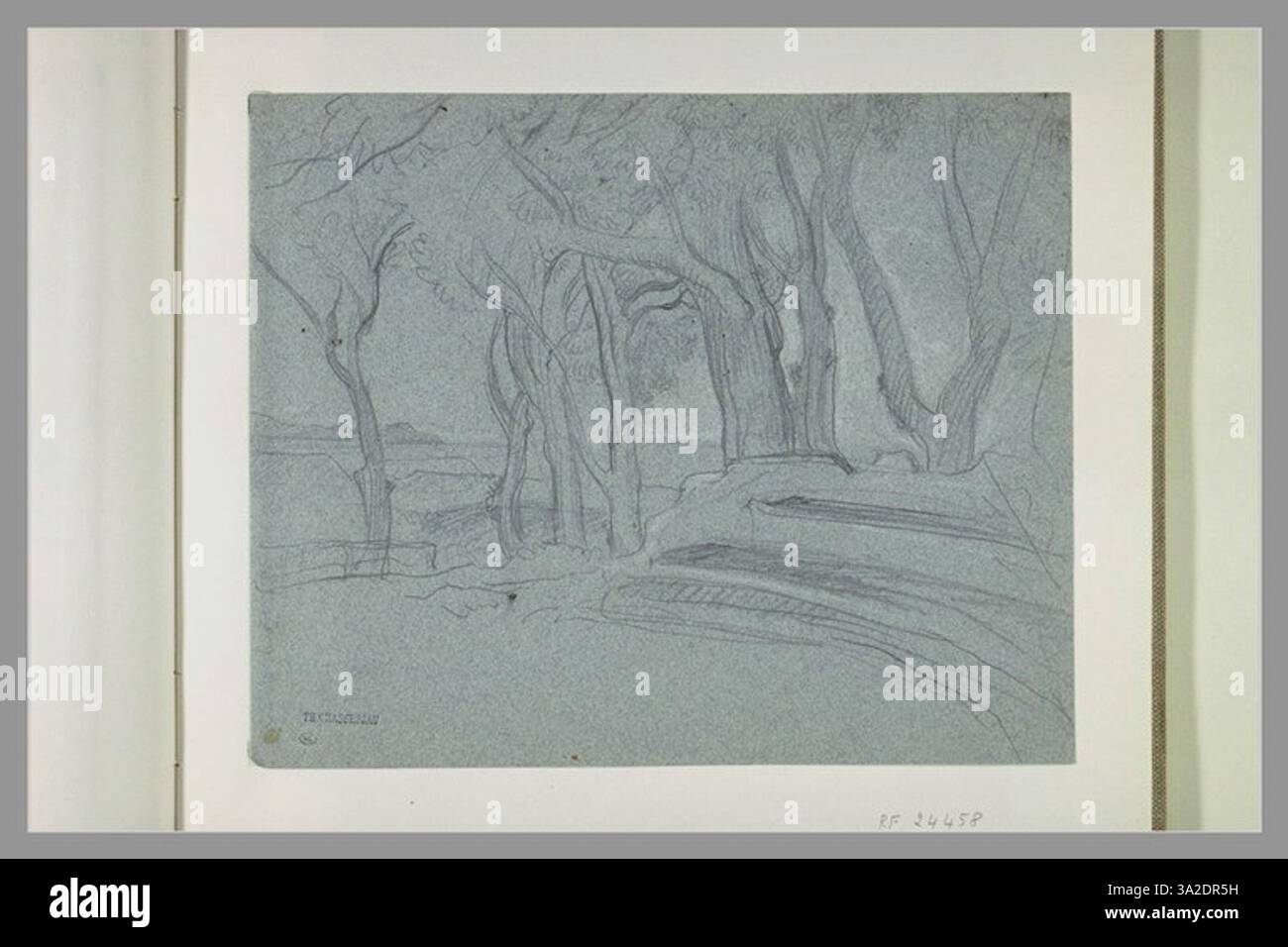 This drawing by Chassériau features a stone bench at the base of olive ...