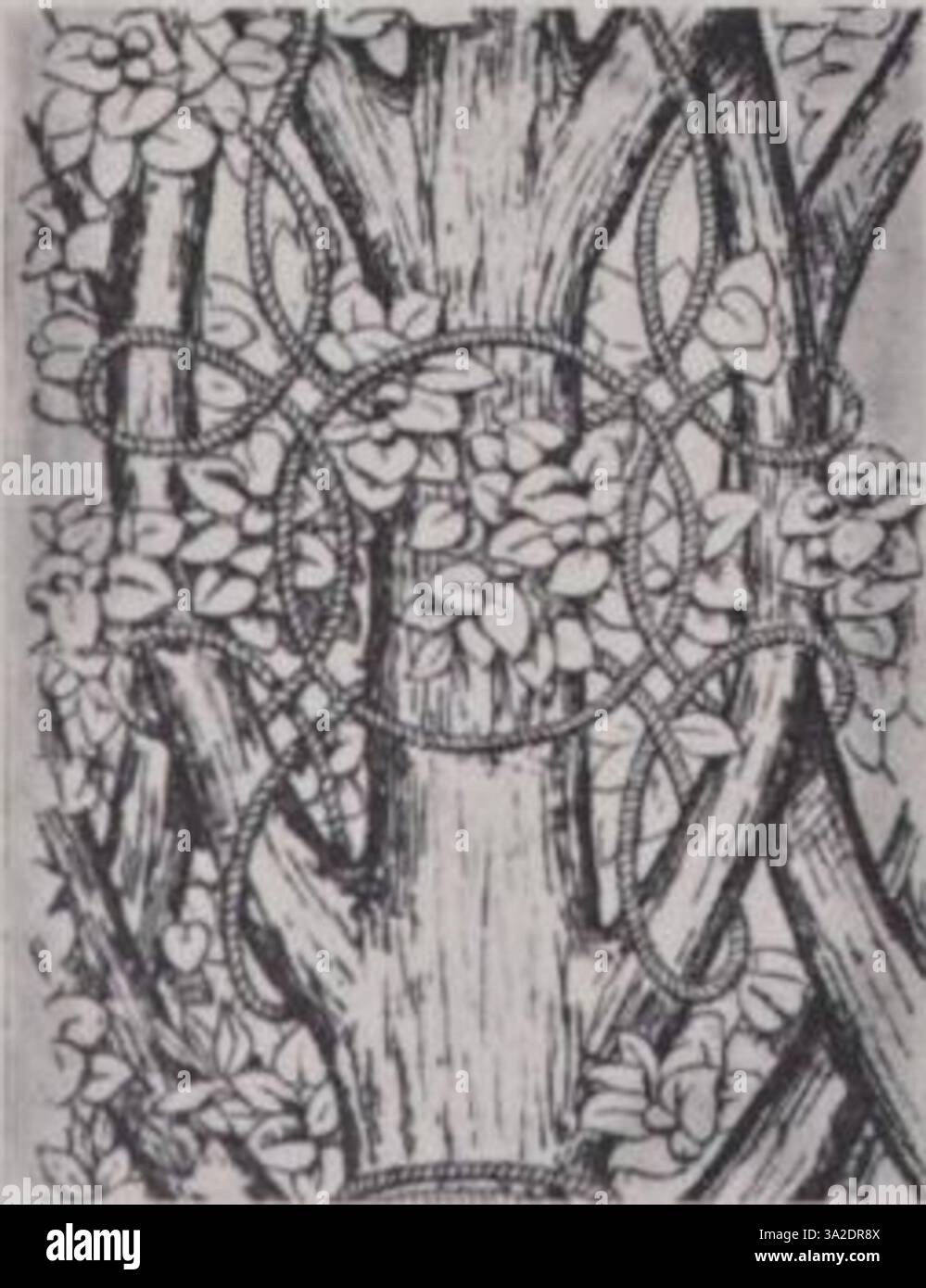 Leonardo da Vinci’s work here presents an anatomical study of the human ...