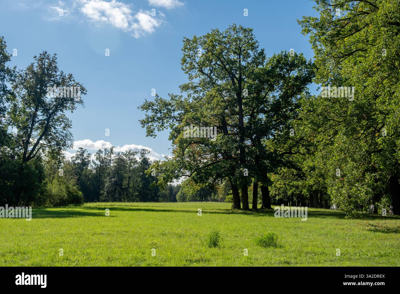 Visitors enjoy the serene landscape of Catherine Palace gardens ...