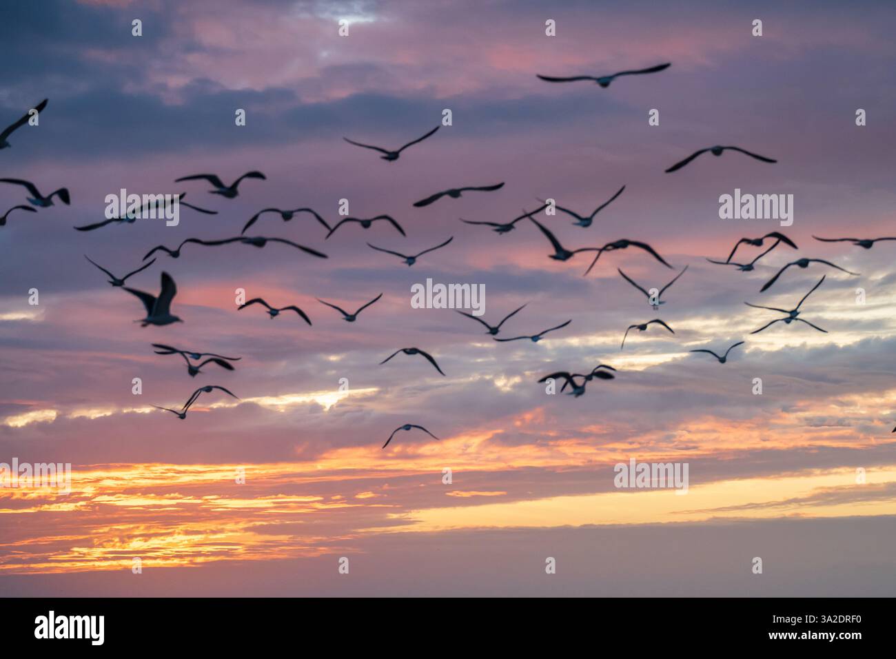 Aerial flying over nazare beach hi-res stock photography and images - Alamy
