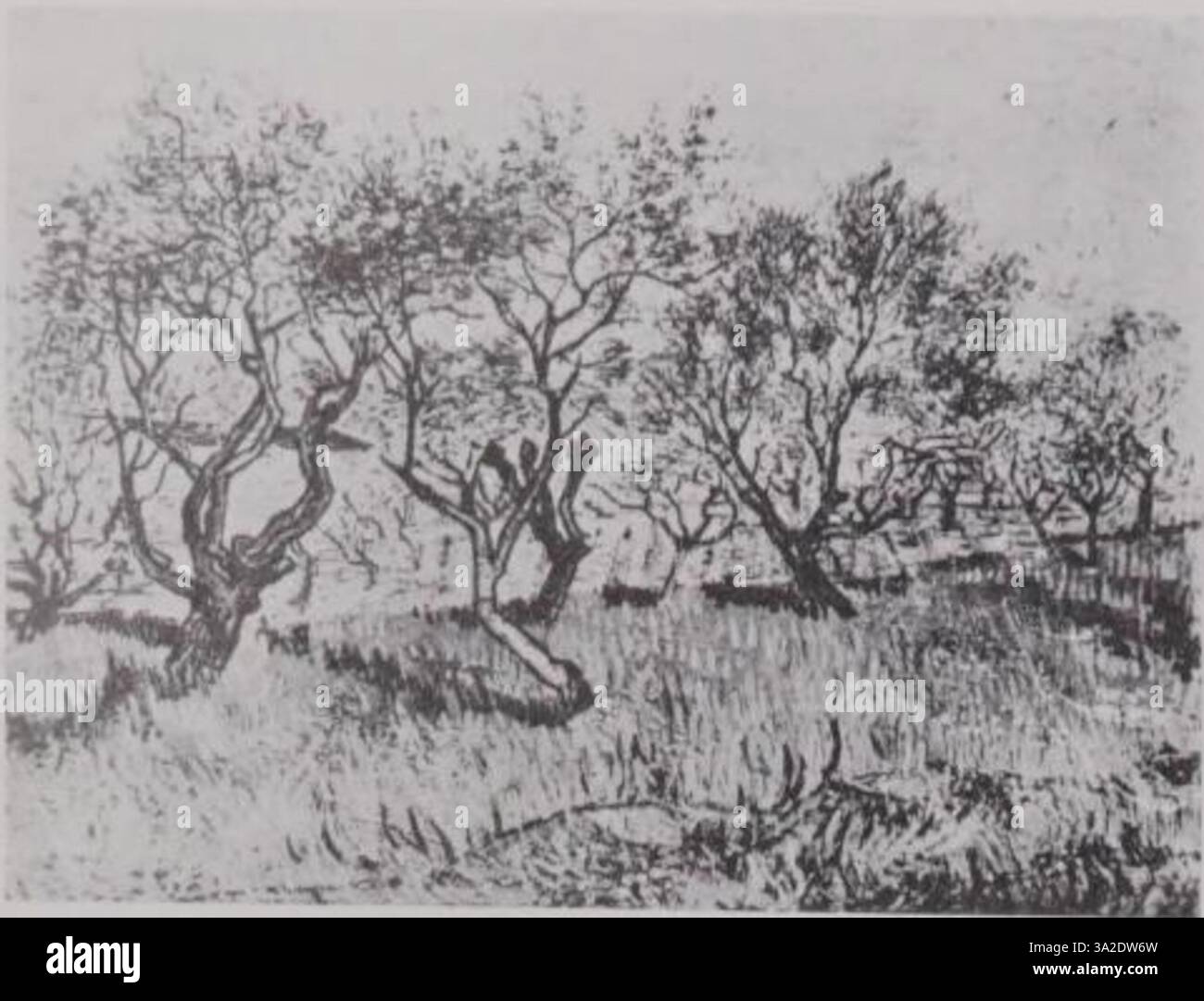 In *Faille 0512*, Van Gogh demonstrates his characteristic bold ...