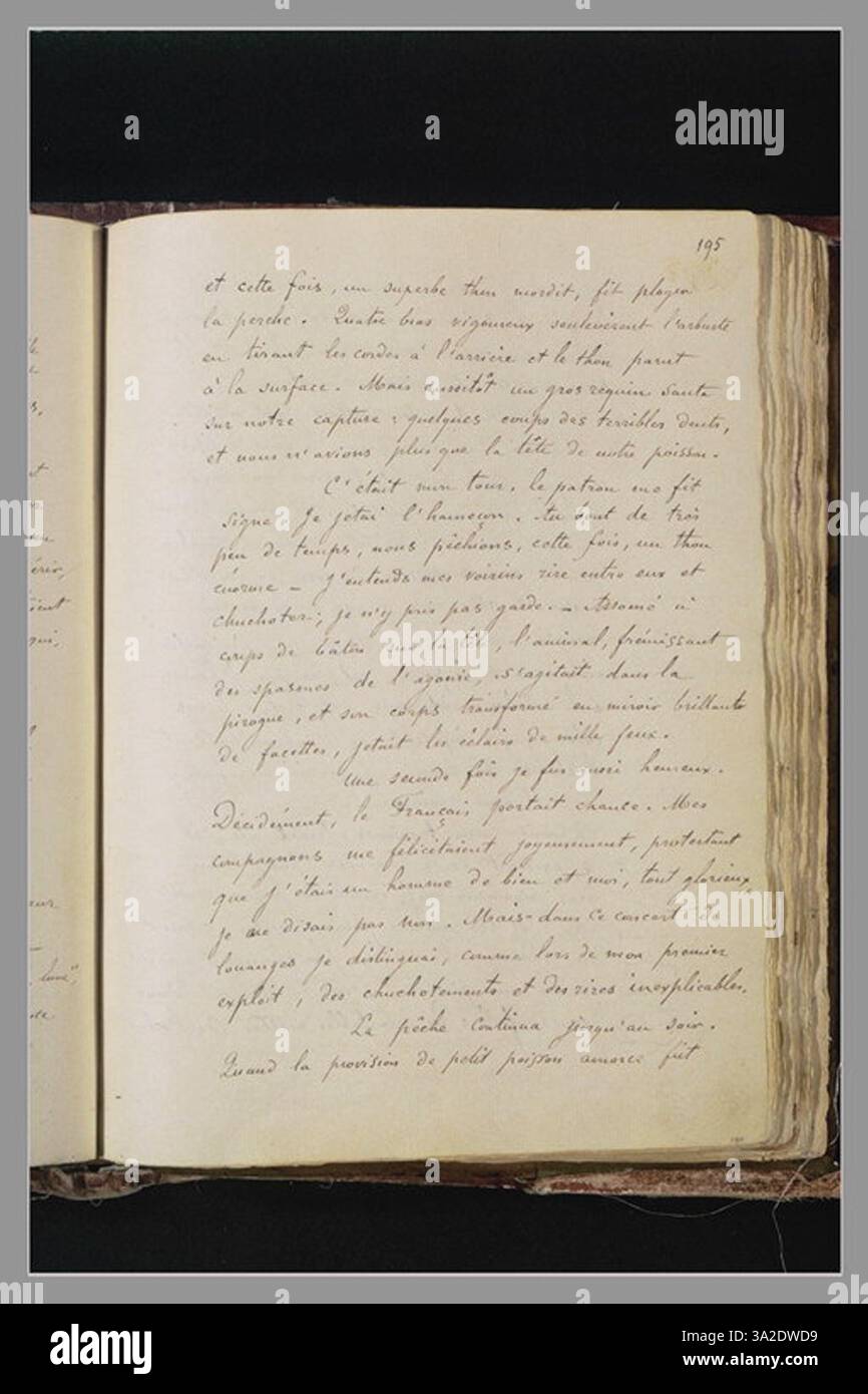 'RF 7259, 192' highlights the human body in vibrant, abstract forms ...