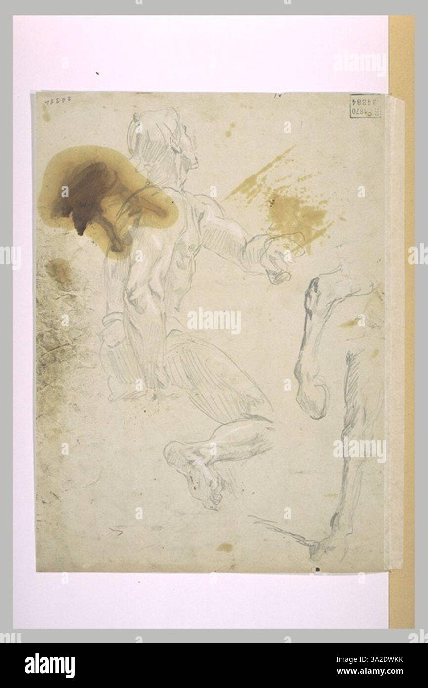 Anato humain hi-res stock photography and images - Alamy