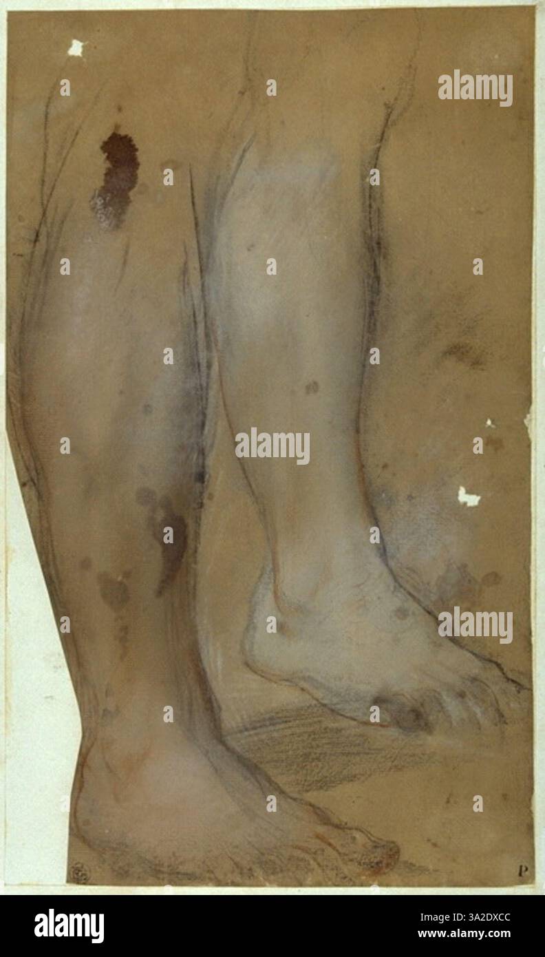 A collection of studies by Barocci focusing on the leg, with attention ...