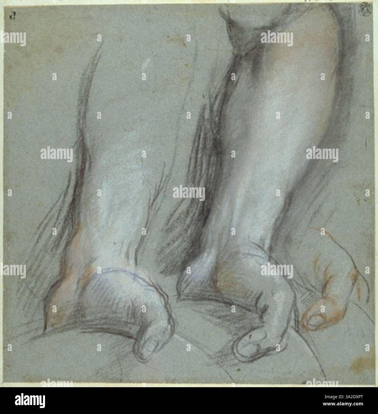 Two studies of an arm and hand holding a round object, with emphasis on ...