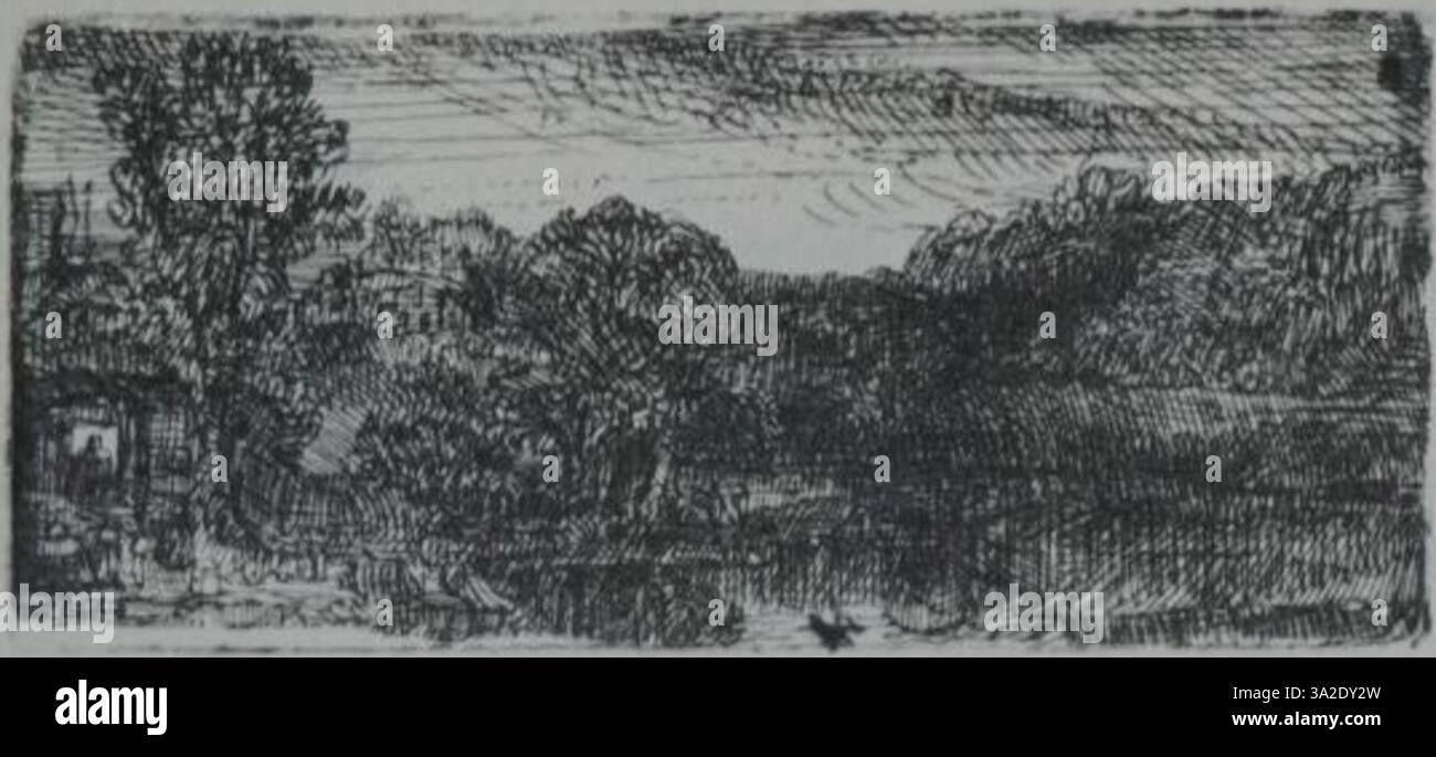 In 'White and Boon, B207', Rembrandt's use of light emphasizes the ...