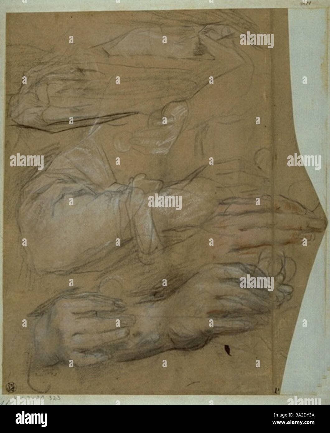 This study by Barocci features an angled arm, hands, and drapery ...