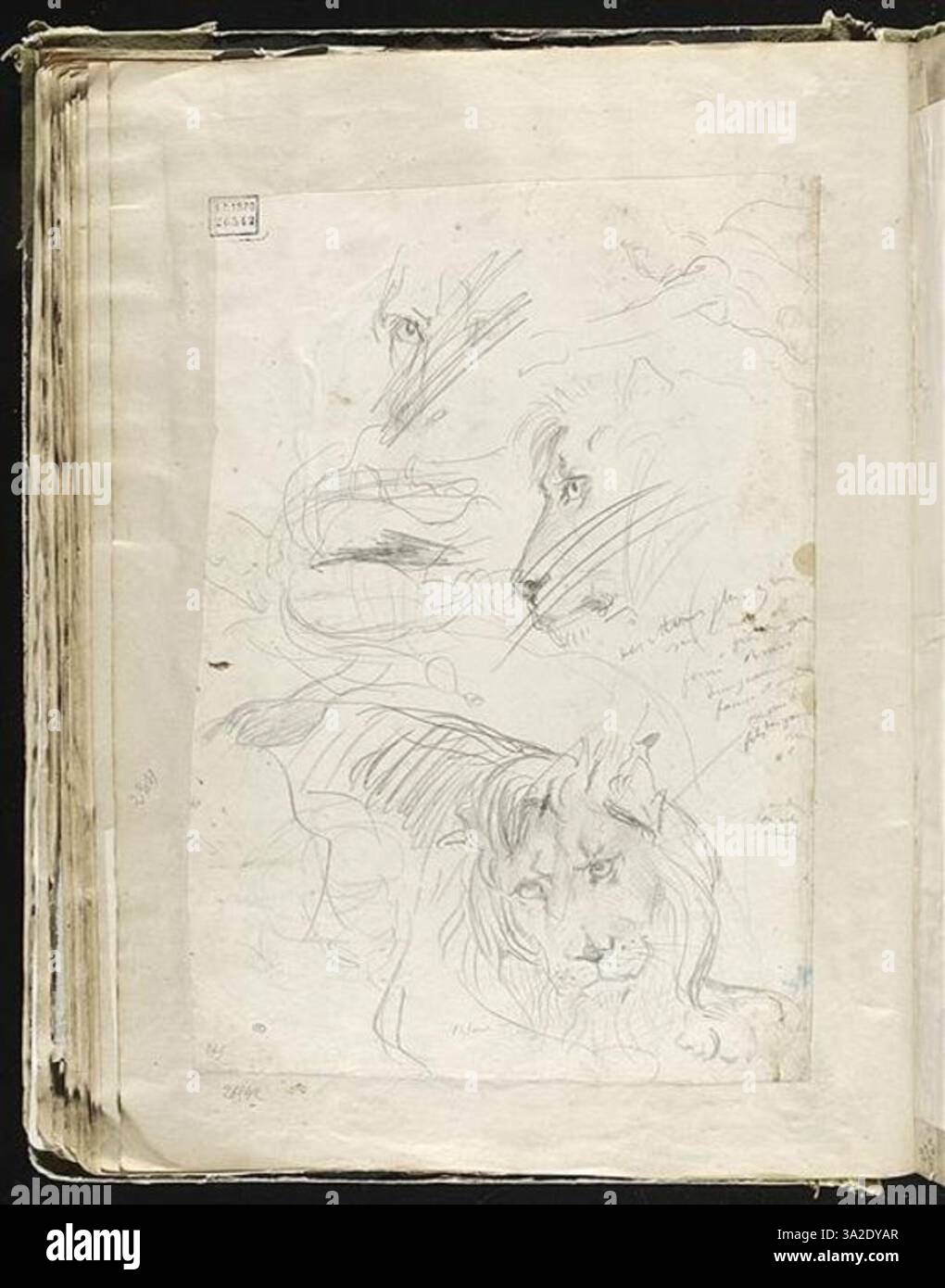 This study features two lion heads and a figure extending its left arm ...