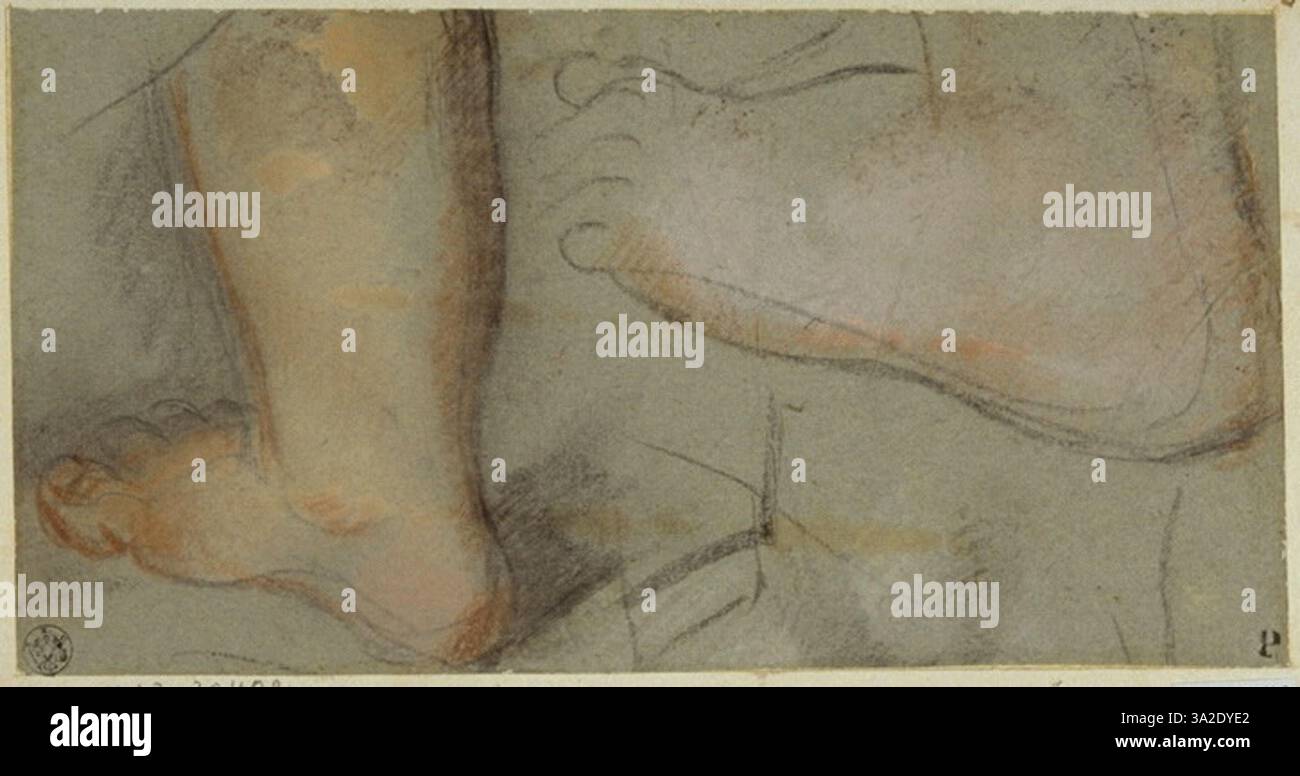 Study of two feet, focusing on anatomical features and structure Stock ...