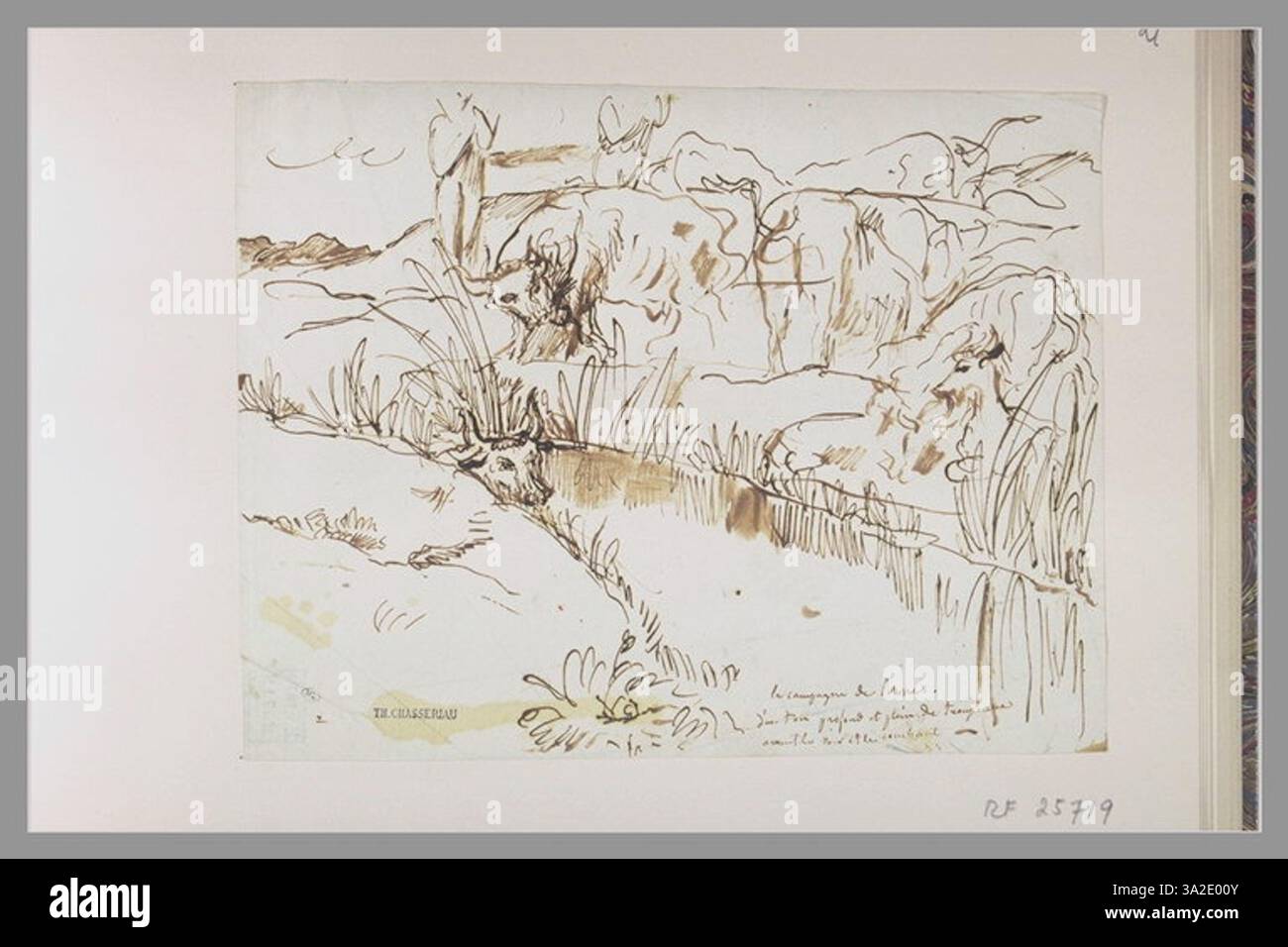 This piece depicts oxen near a watercourse. Chassériau captures the ...