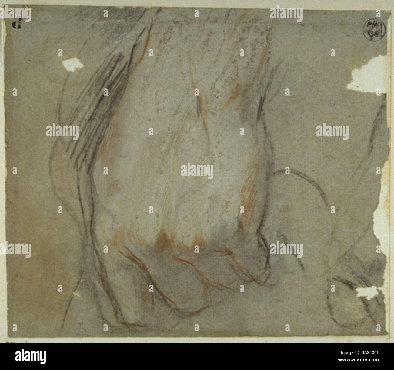 A study of a hand grasping an object, focusing on the positioning and ...