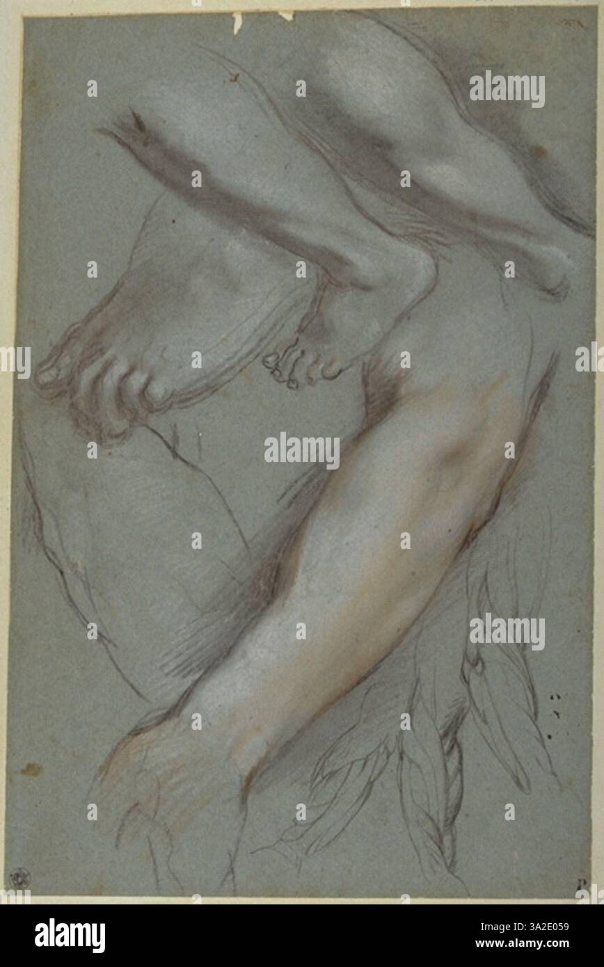 Studies of arms, legs, feet, and anatomy, with a focus on detailed body ...