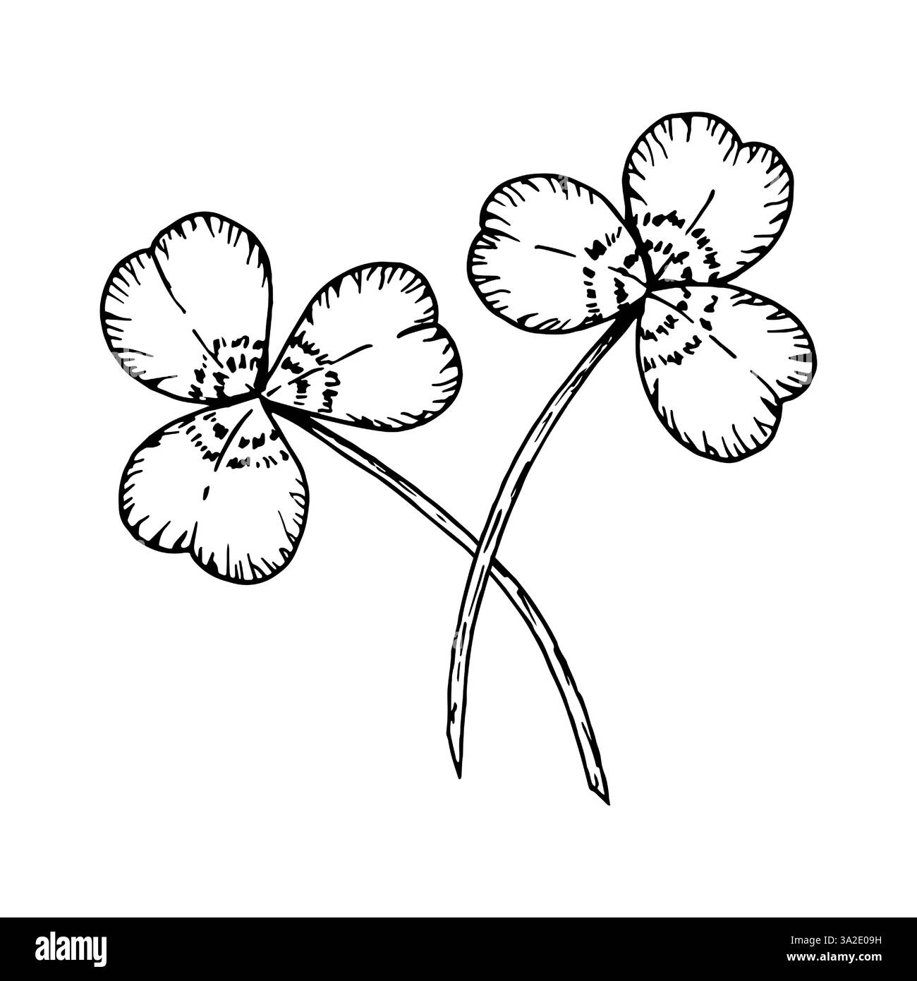 Plant traditions Black and White Stock Photos & Images - Alamy