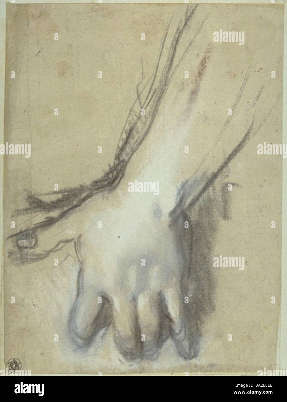 Barocci’s study of a hand, emphasizing anatomical structure and ...