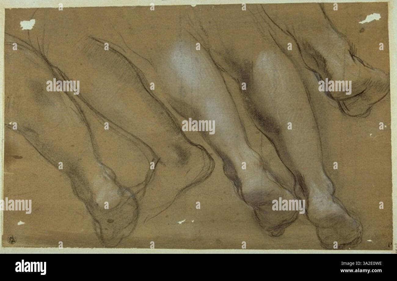 Study of six different leg poses, focusing on the anatomy and form of ...