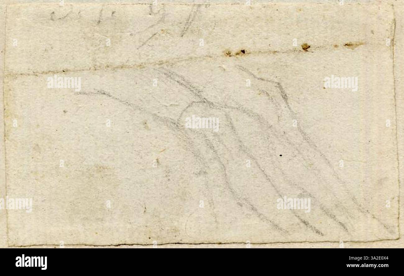 Anatomical drawings capturing hi-res stock photography and images - Alamy