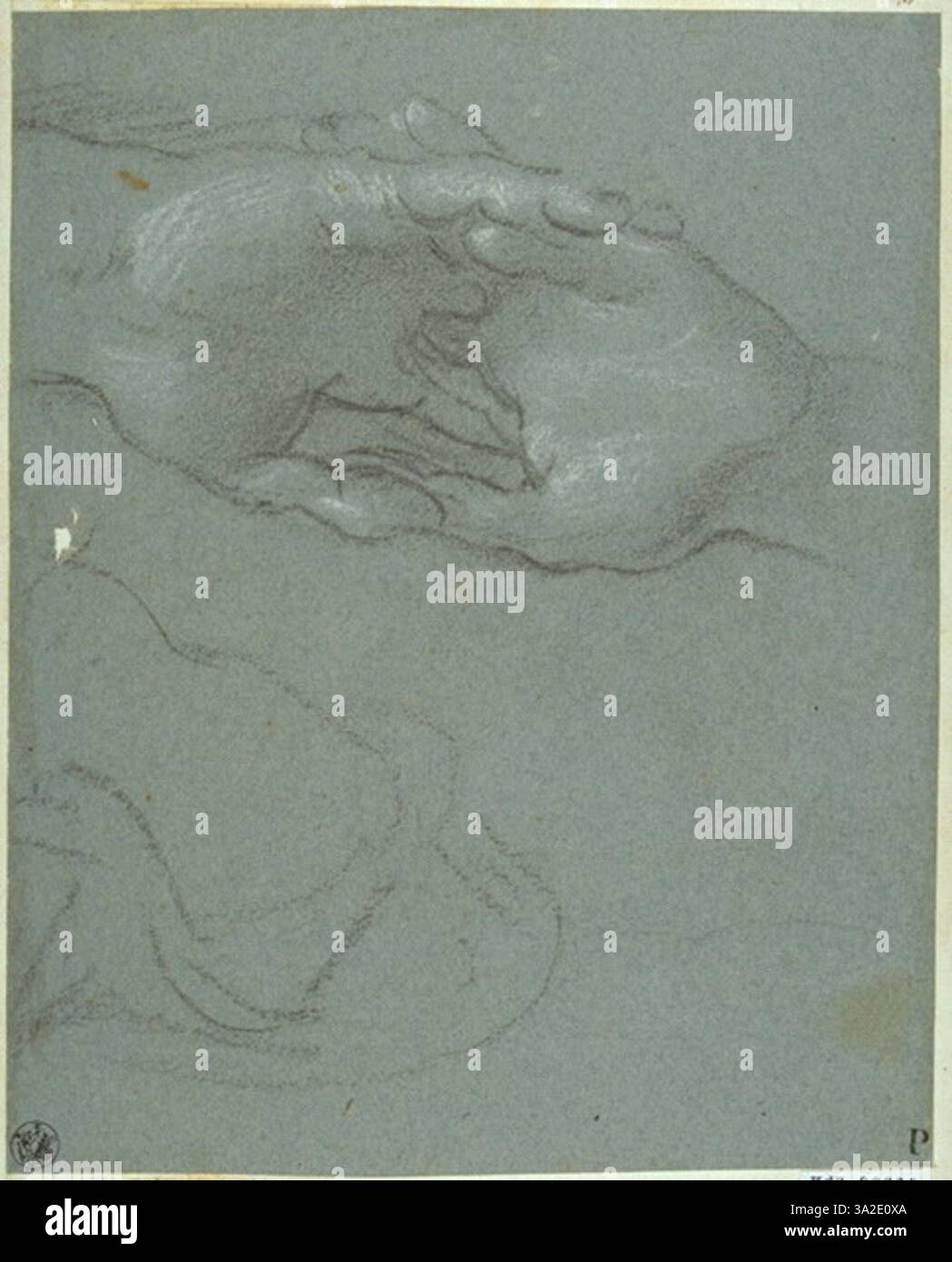 Barocci’s study of folded hands in an underside view, with drapery ...