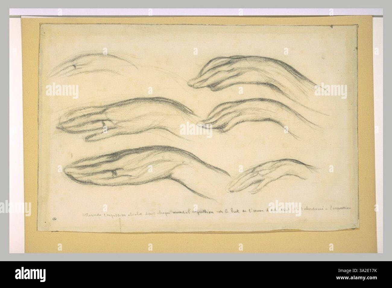 This artwork features six studies of a woman's right hand in various ...