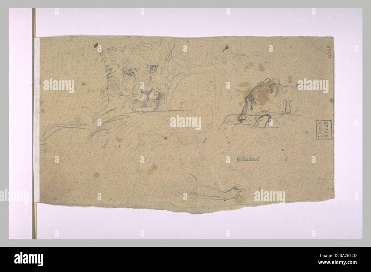 This artwork features the head of a lion facing forward and a lioness’s ...
