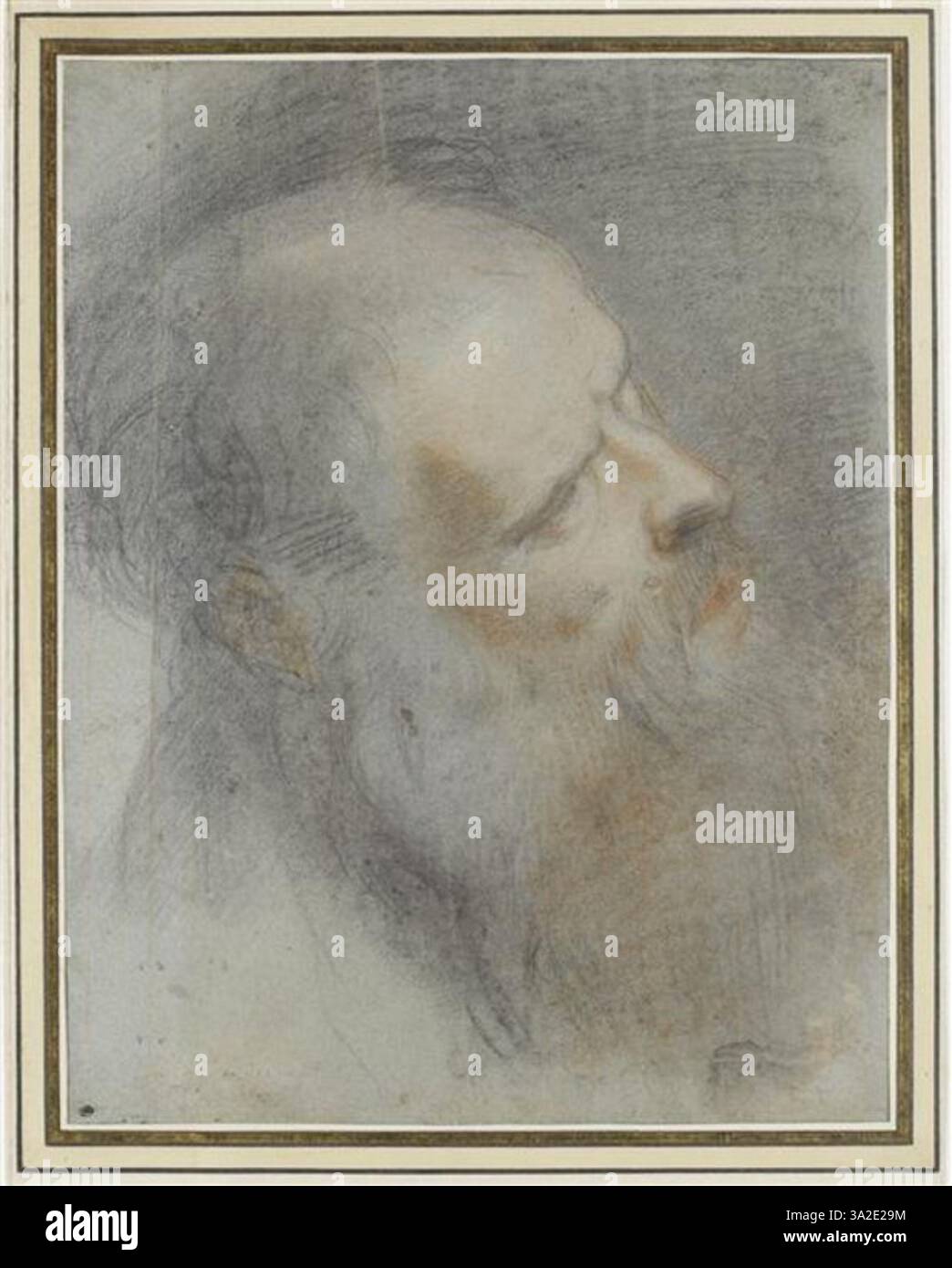 This drawing shows an elderly man turning to the right, his gaze ...