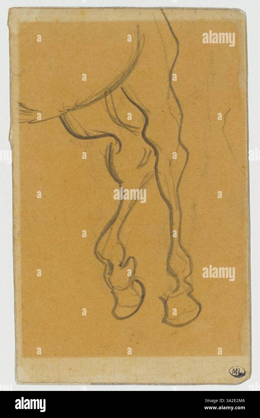 Keen observational nature hi-res stock photography and images - Alamy