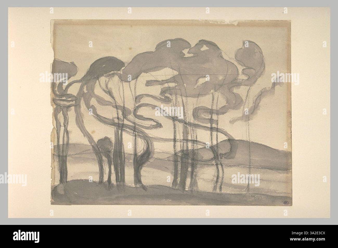 A line of trees stretches across the landscape. The repetitive form of ...