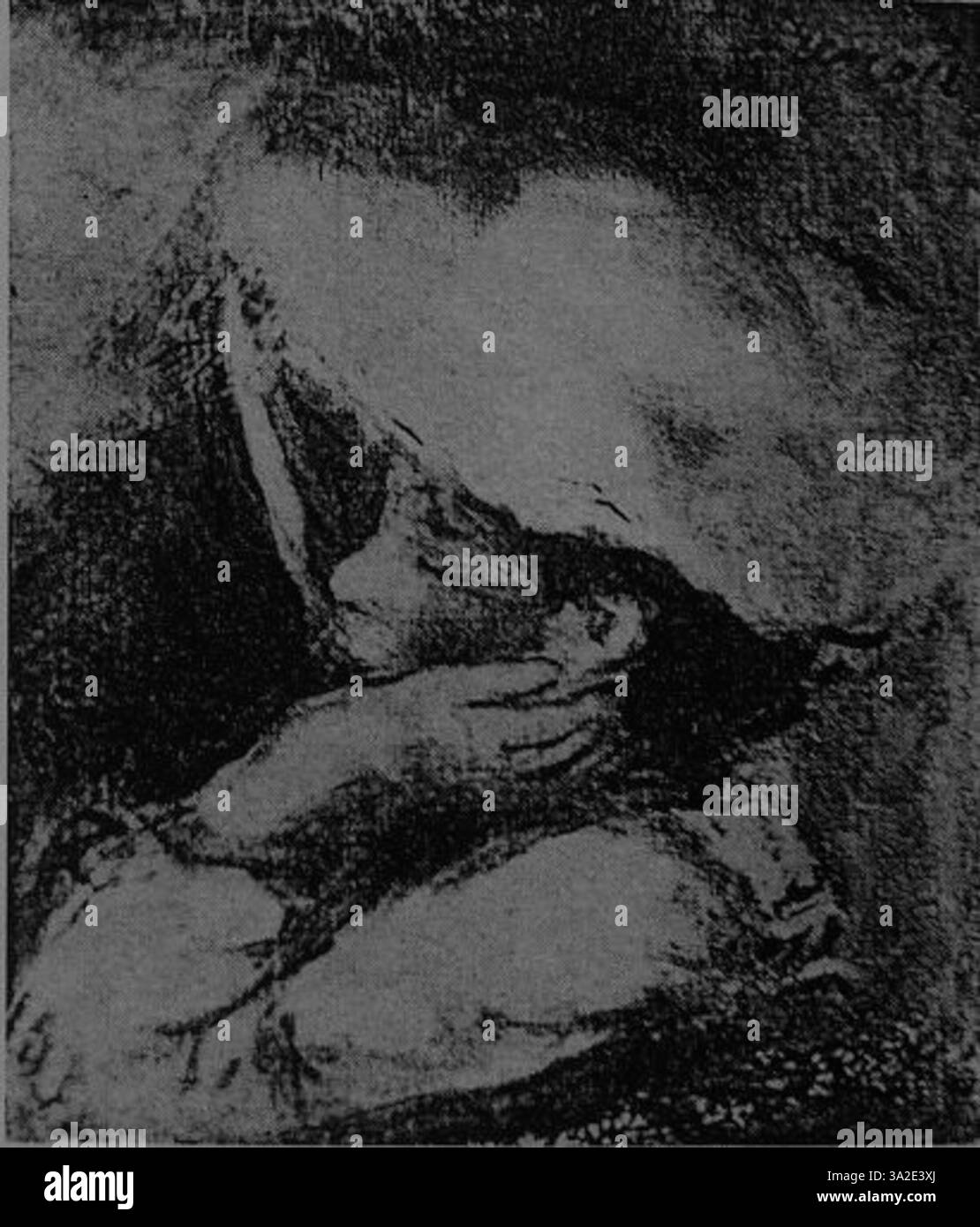 Bright and cheerful scene Black and White Stock Photos & Images - Alamy