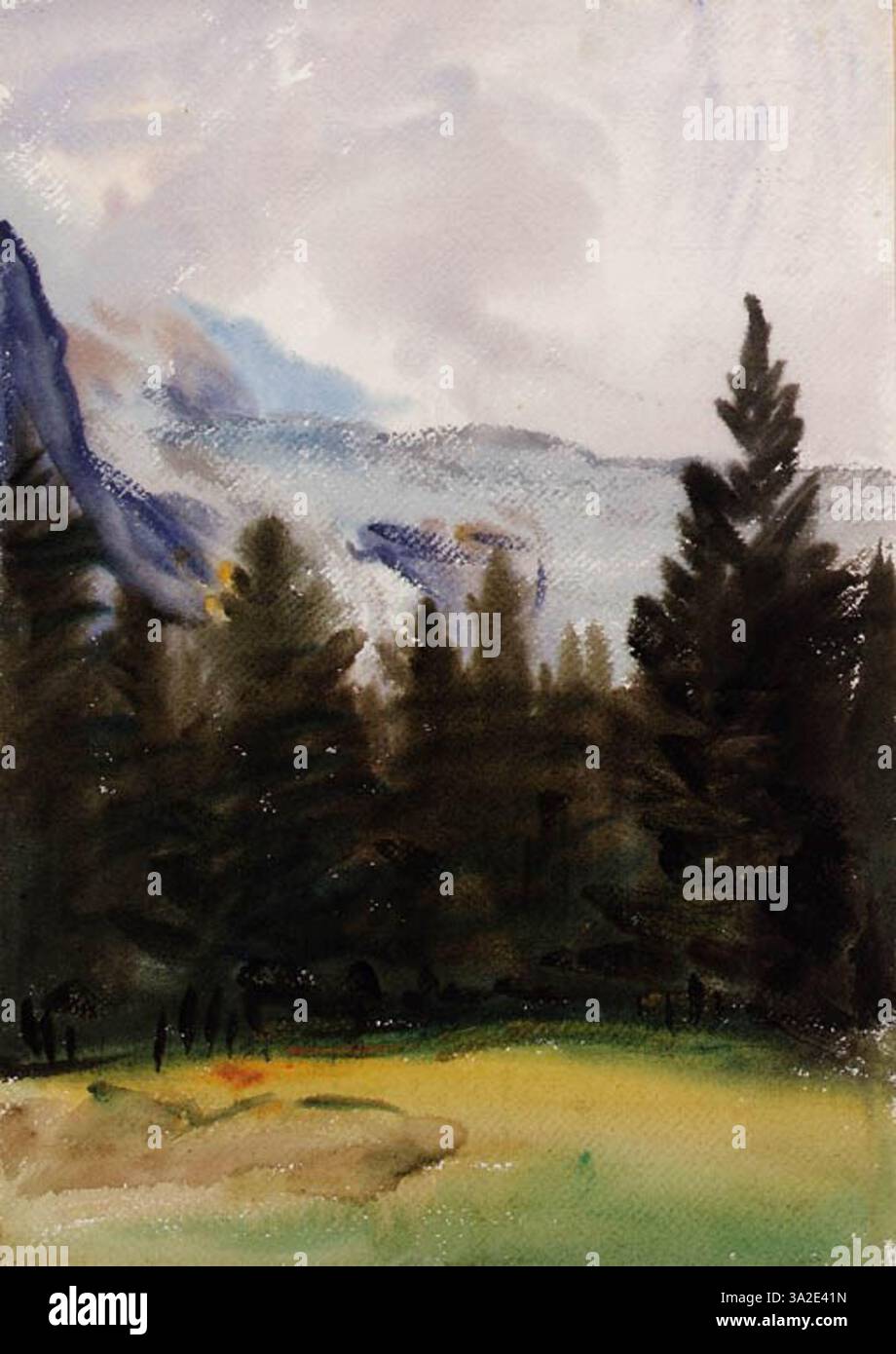 This landscape shows fir trees with a backdrop of snow-capped mountains ...