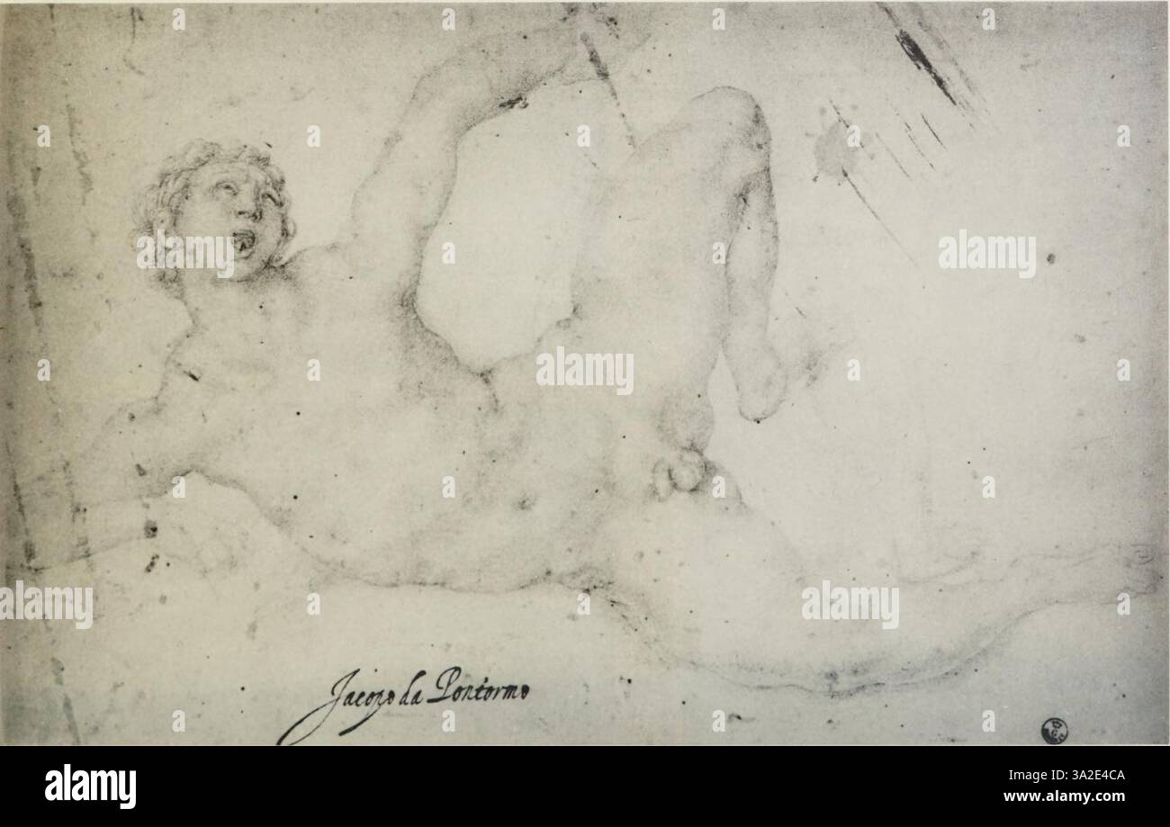 This 1494 work by Pontormo highlights the artist's exploration of the ...