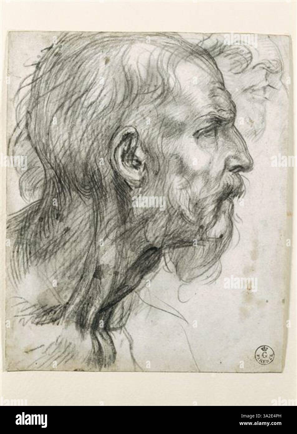 In this study of an old man, Andrea del Sarto highlights the depth of ...