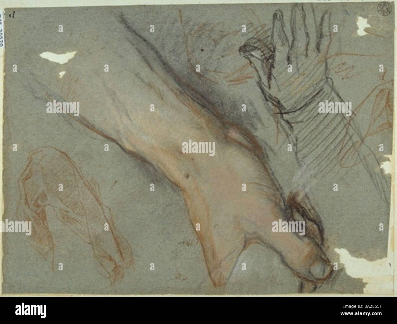 Study of two hands and drapery, with focus on fabric movement and ...