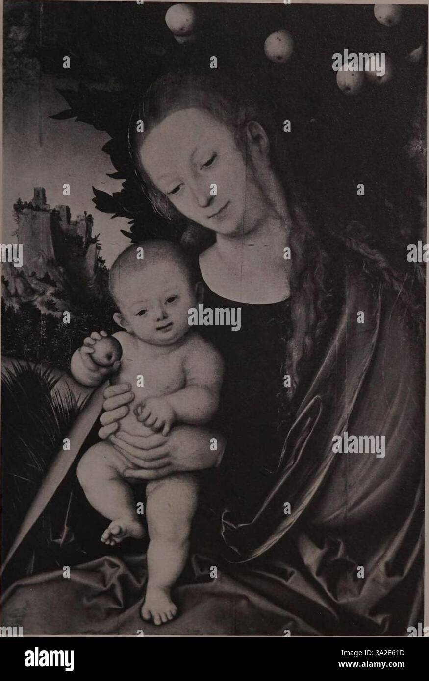 Lucas Cranach the Elder's portrait demonstrates his expertise in ...