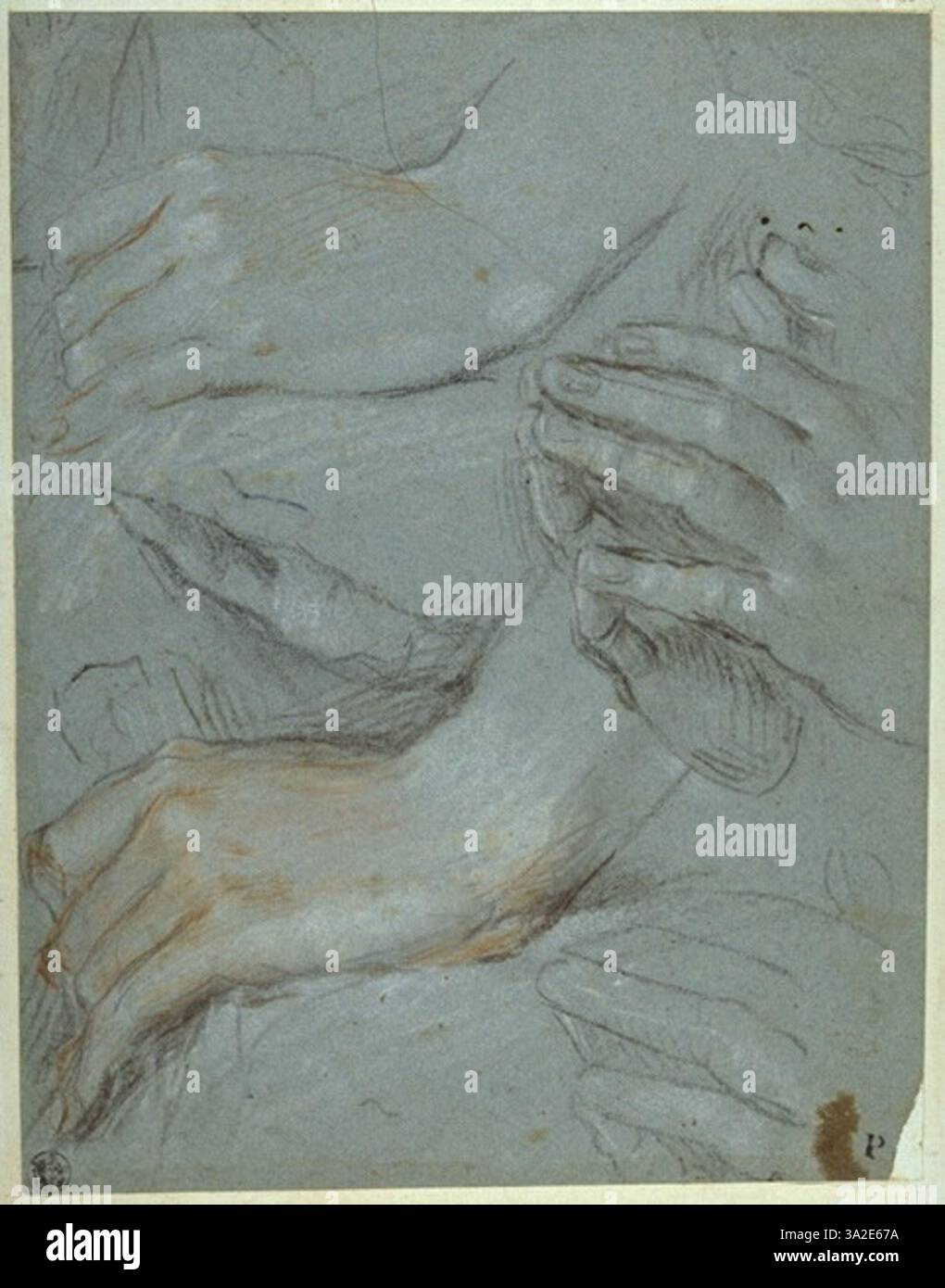 Study of two hands grasping fabric and two hands in a prayer position ...
