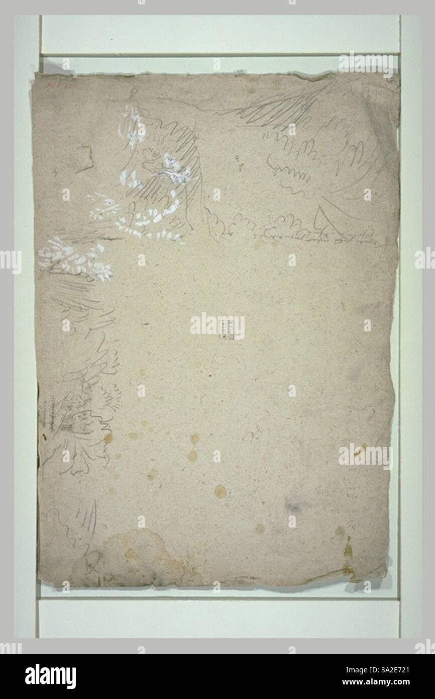 A study of foliage, capturing the details of plant life with an ...