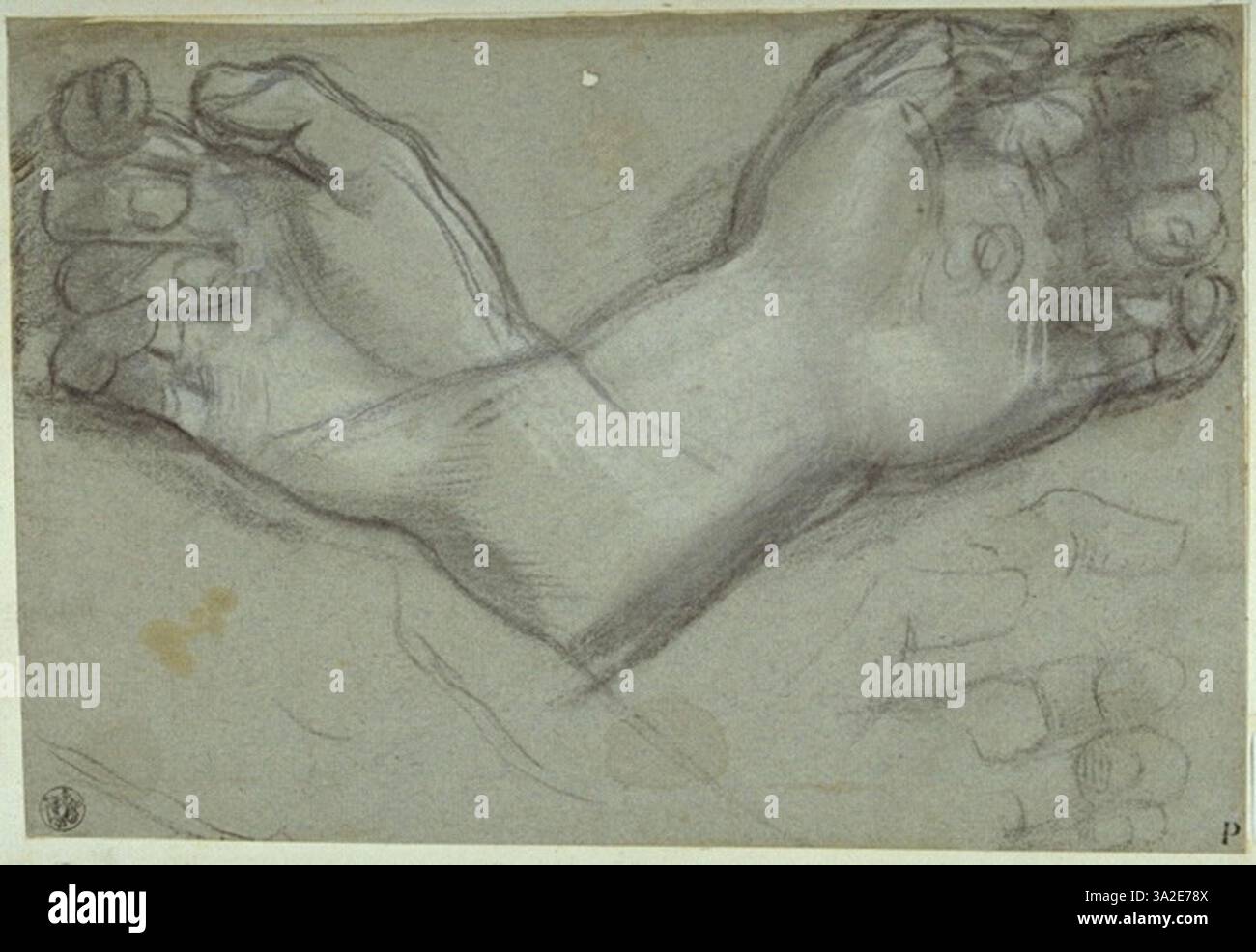Study of two hands bearing stigmata, focusing on anatomical detail and ...