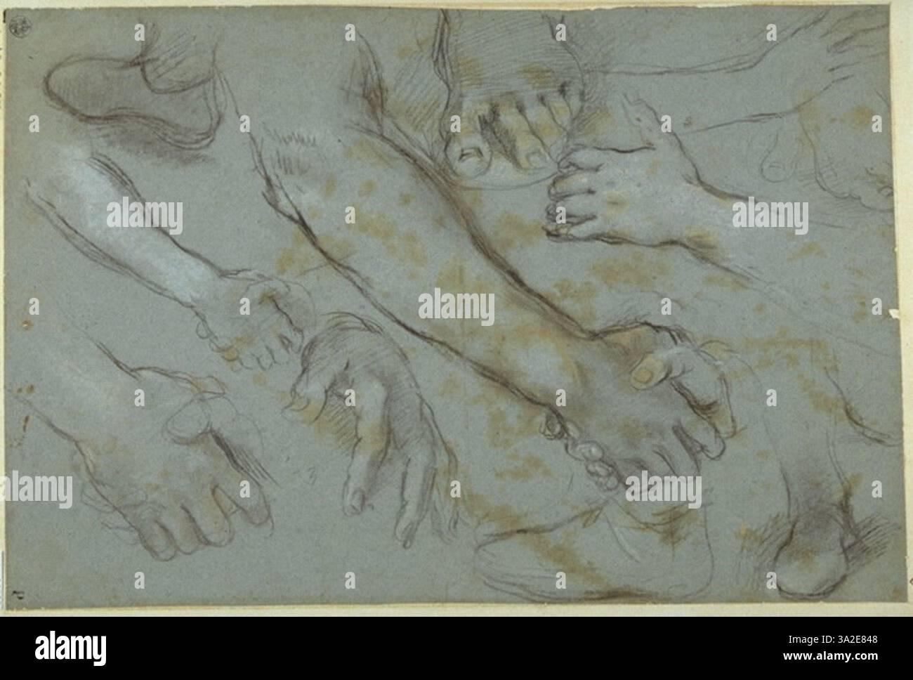 Barocci’s study of arms and hands joined in a handshake, along with ...