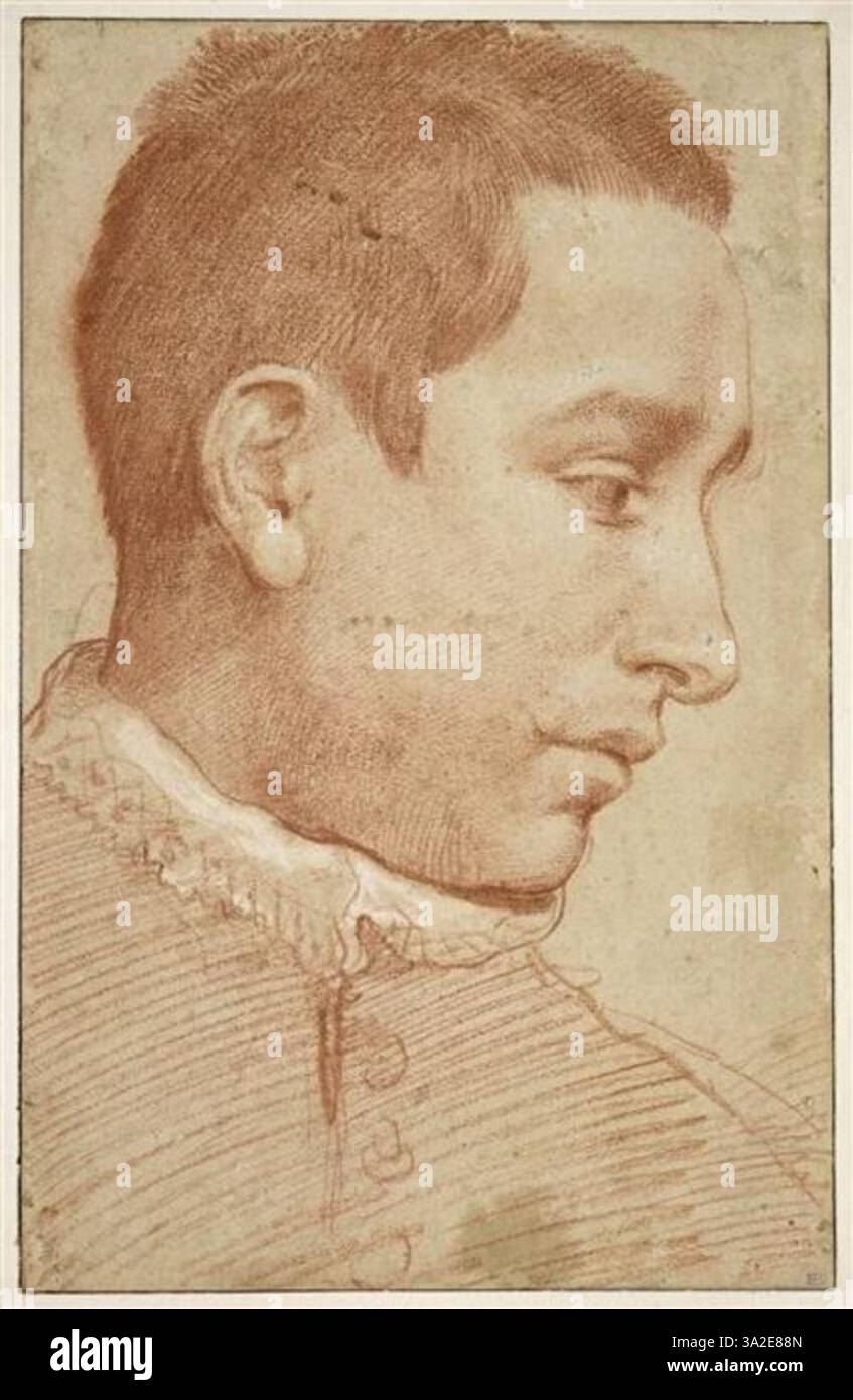 This portrait by Annibale Carracci depicts a man in profile, focusing ...