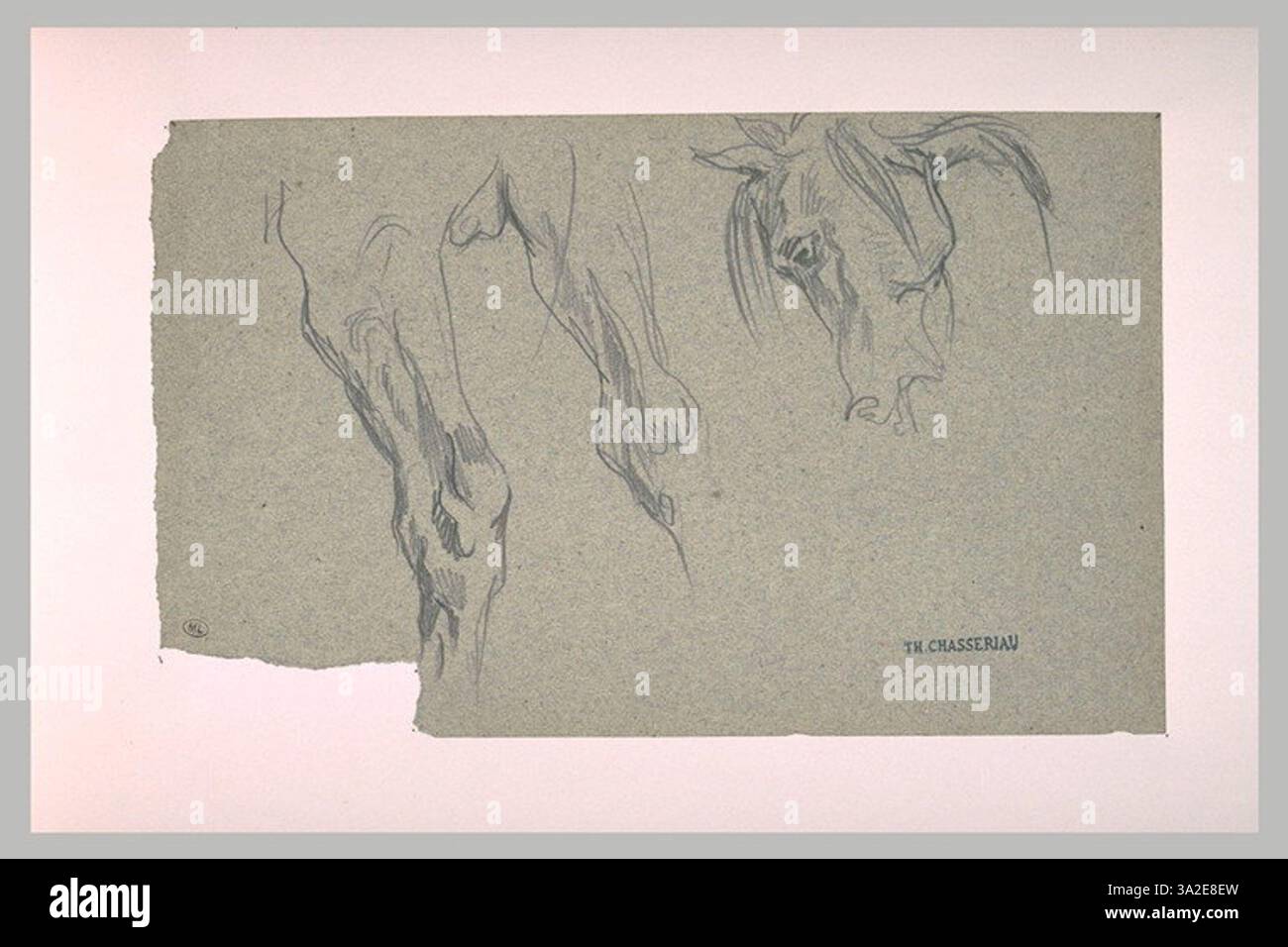 This drawing showcases the legs and head of a horse, emphasizing the ...