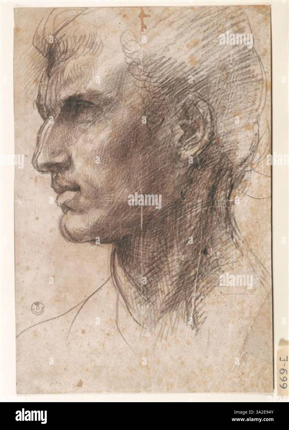 Andrea del Sarto’s ‘Head of Man’ focuses on the realistic portrayal of ...