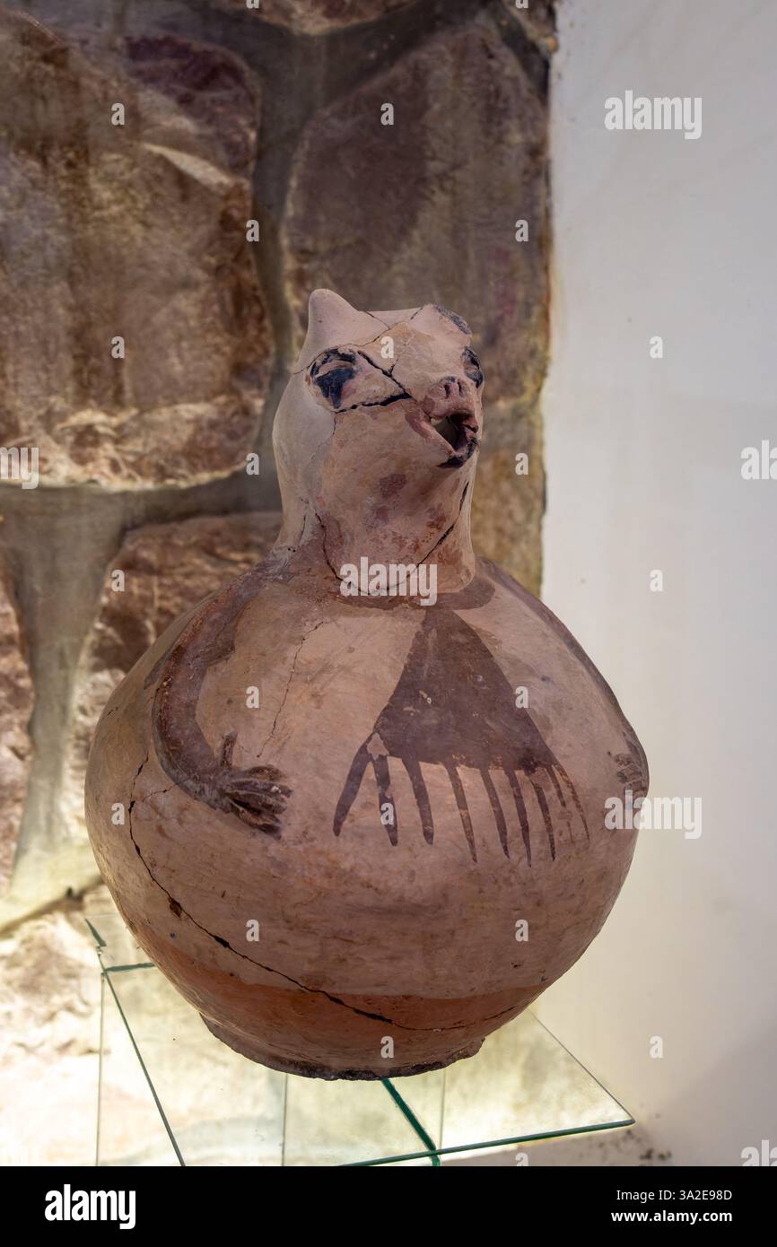 A Wichi indigenous Amerindian ceramic water container in the Museum of ...