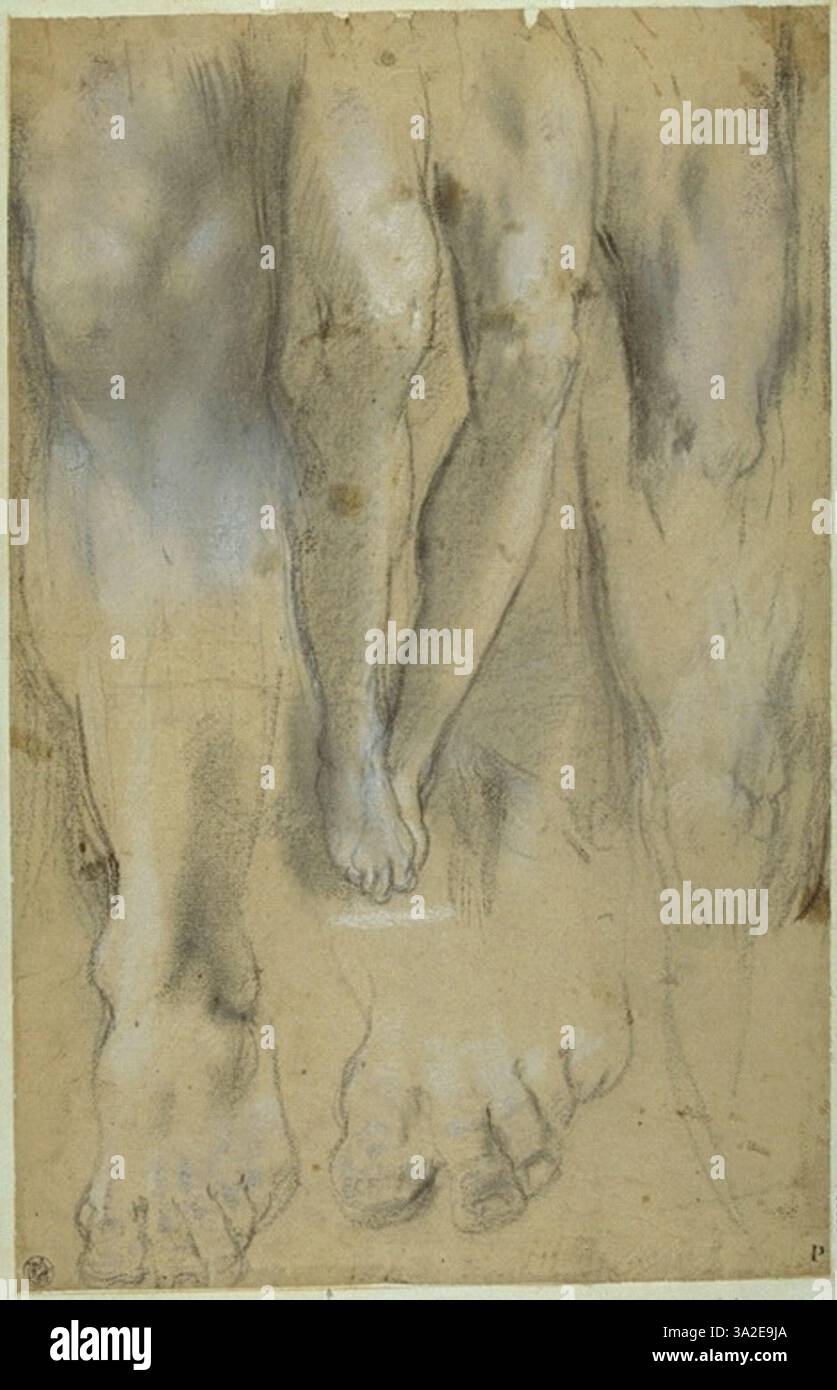Study sheet with overlapping legs, featuring detailed studies of feet ...