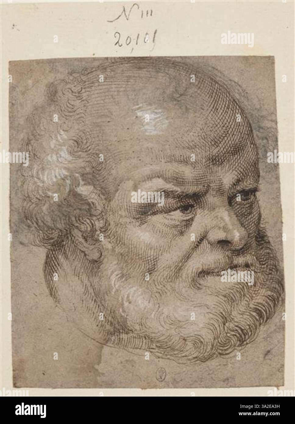 This Dürer copy depicts an elderly man's head, focusing on his facial ...