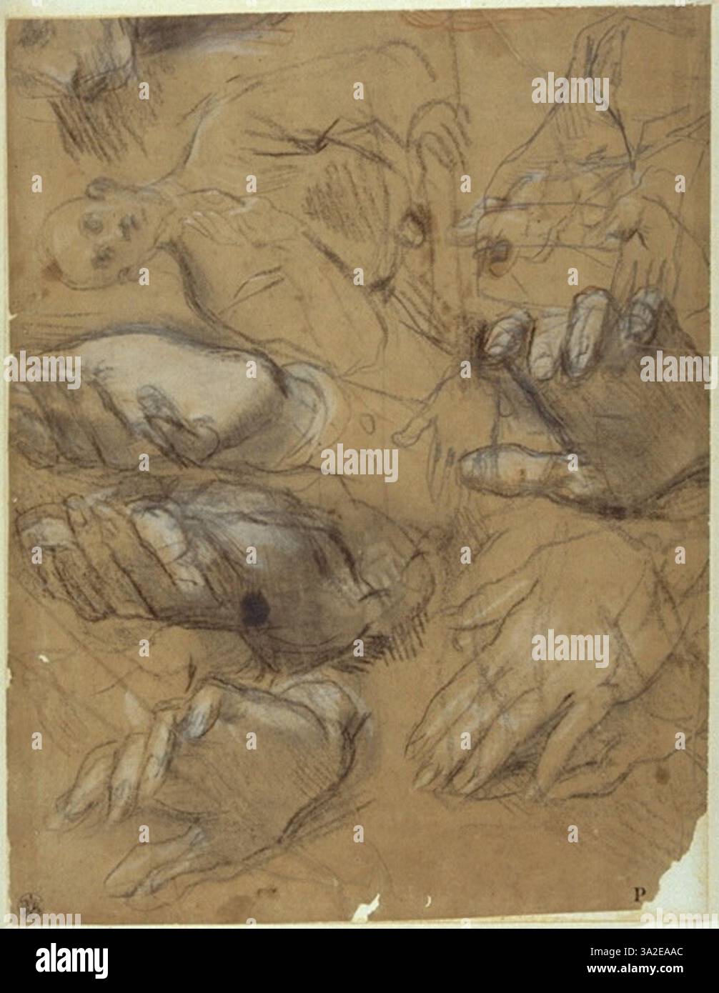 Study sheet featuring hands and a figure in a blessing gesture ...