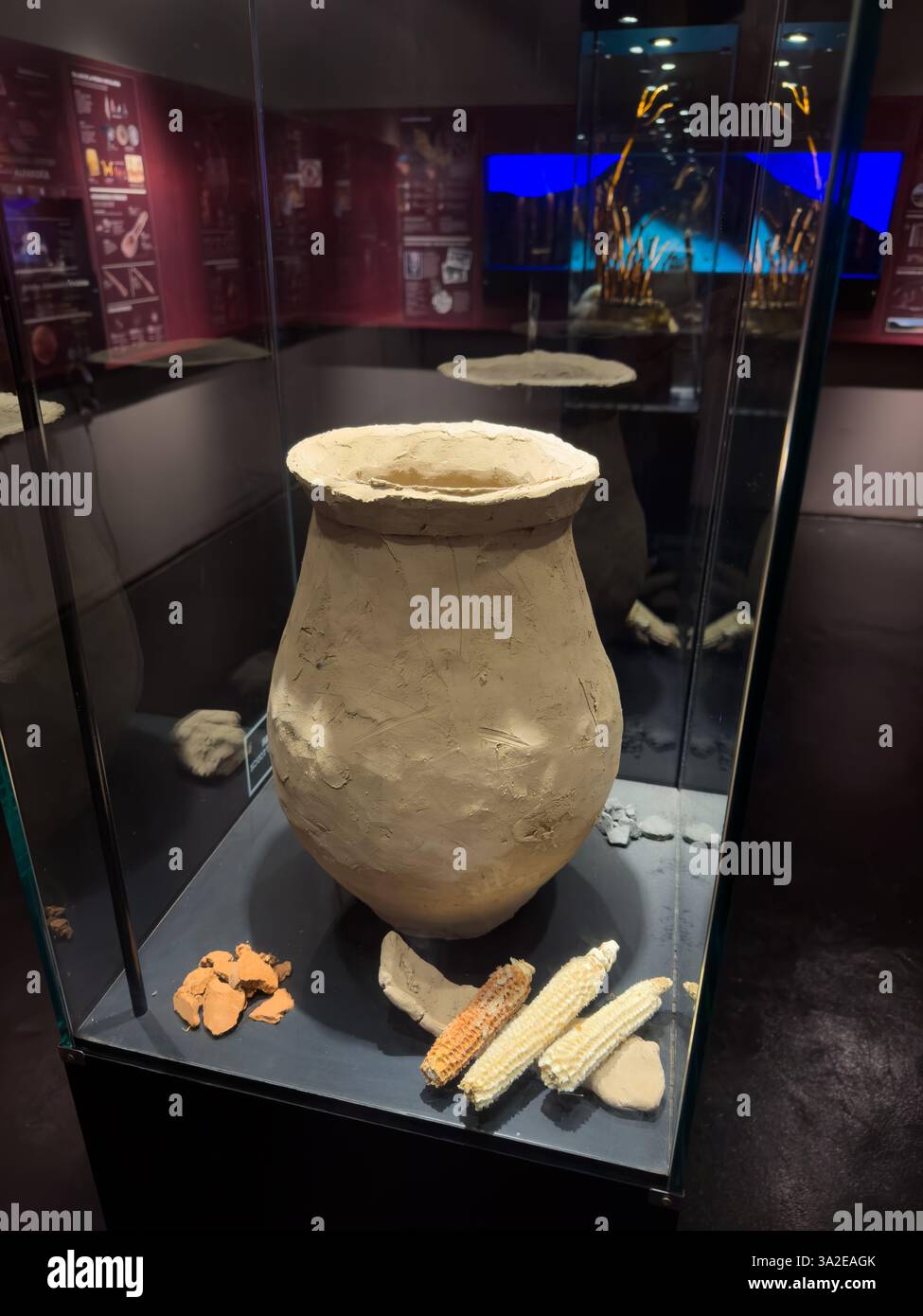 A ceramic storage pot with old corn cobs in the Quilmes Interpretation ...