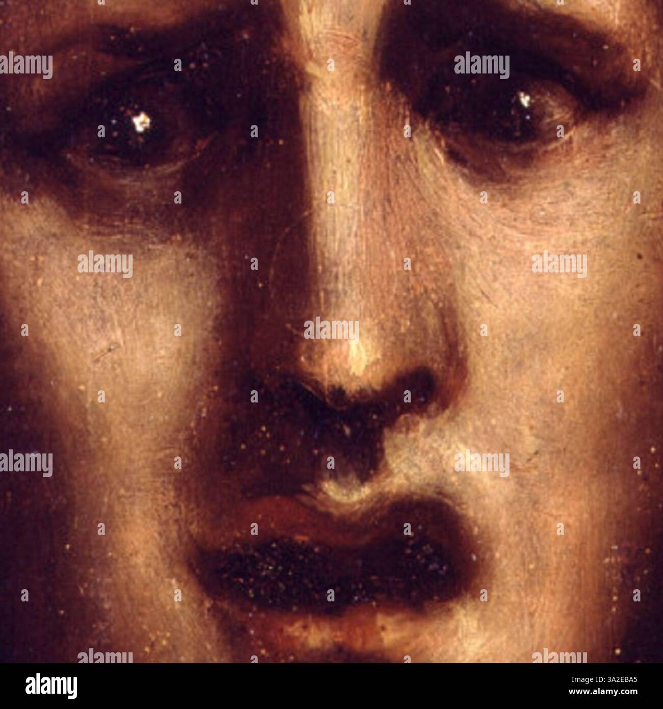 This detailed view of a female face demonstrates Titian’s expertise in ...