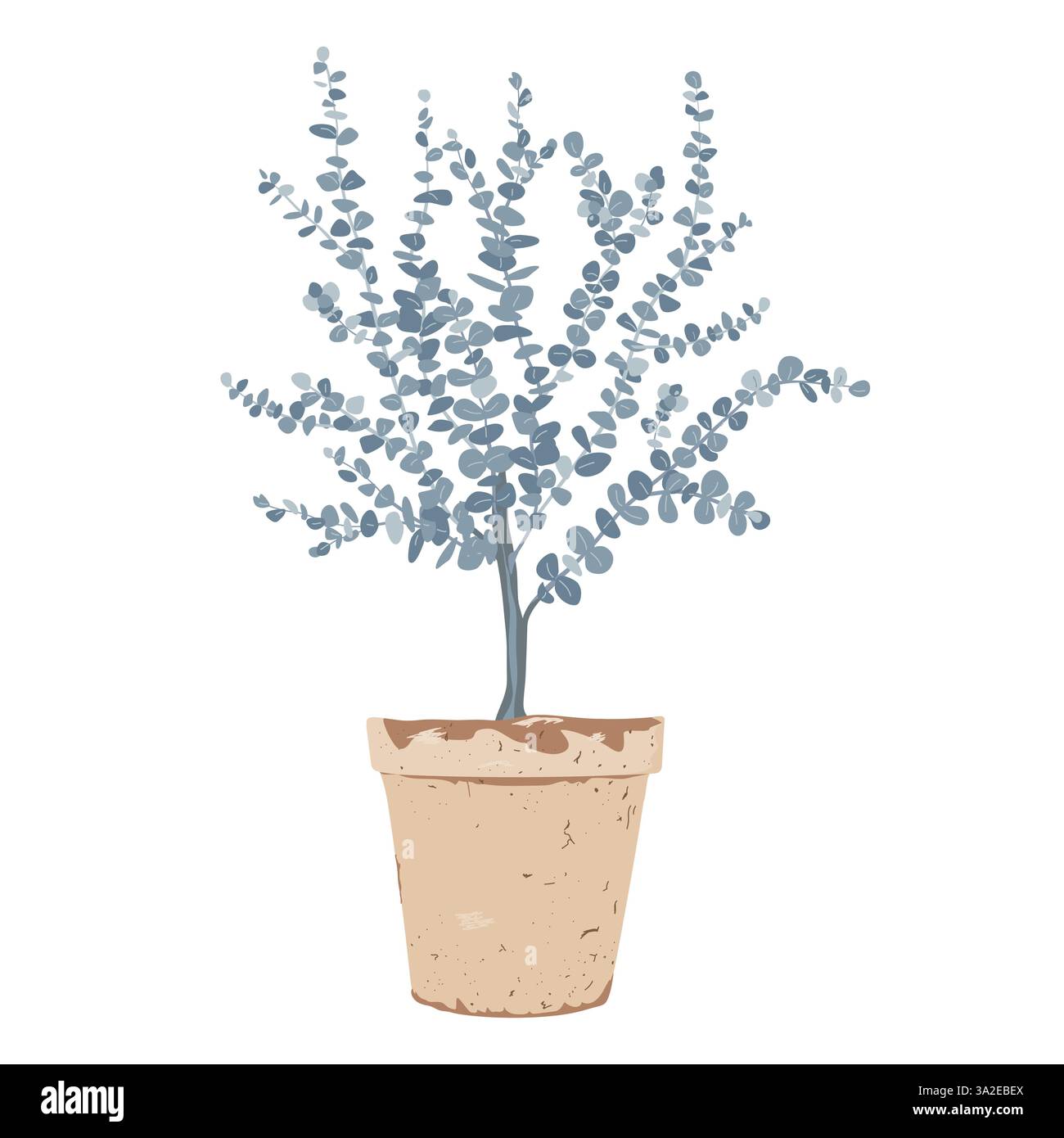 Potted baby blue eucalyptus tree isolated vector illustration. Young ...